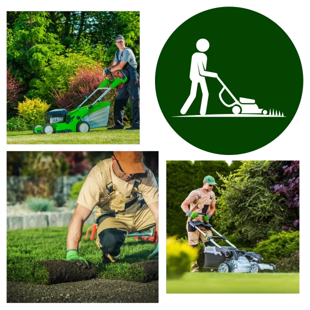 Green Wave Lawn Care