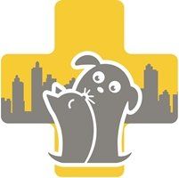 CityVet Clínica Veterinária