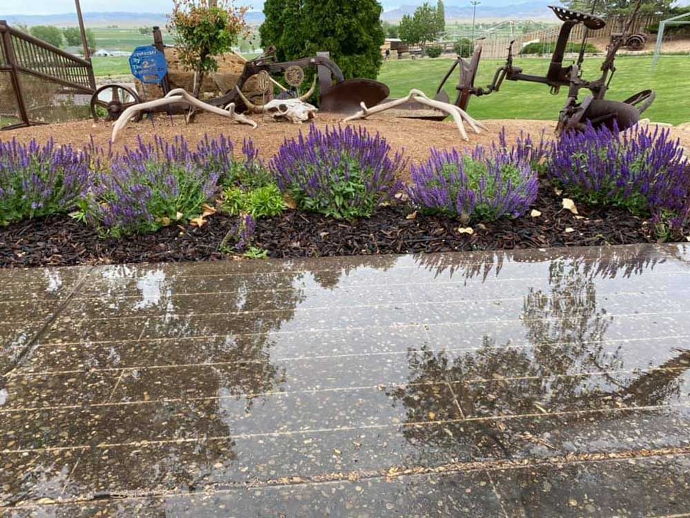 Gallery | SOS Concrete Surface Solutions