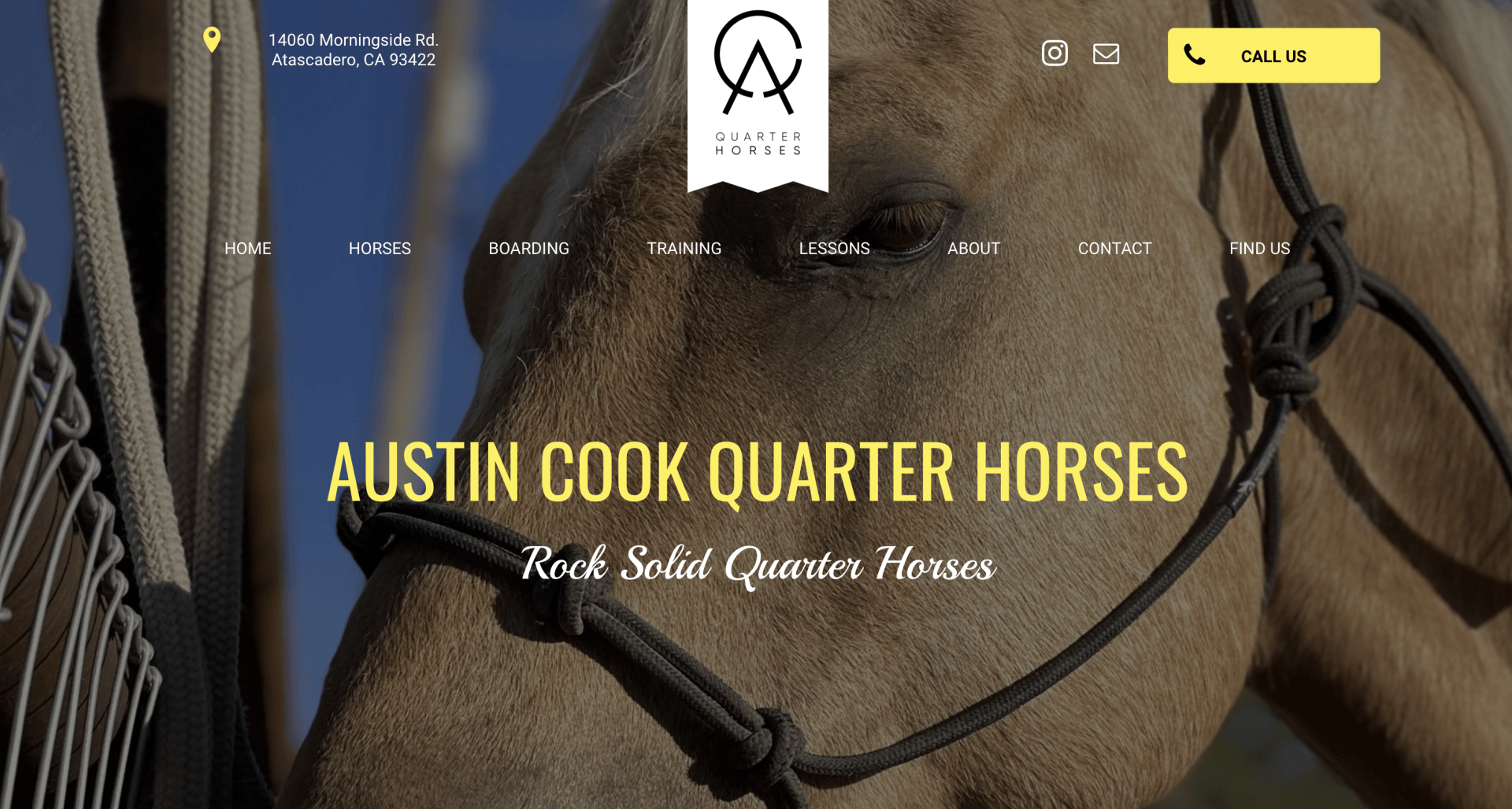 Austin Cook Quarter Horses | Rock Solid Quarter Horses