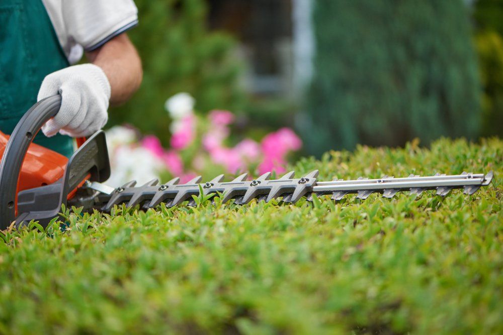 Lawn Mowing & Gardening Services Alice Springs | A2Z Services