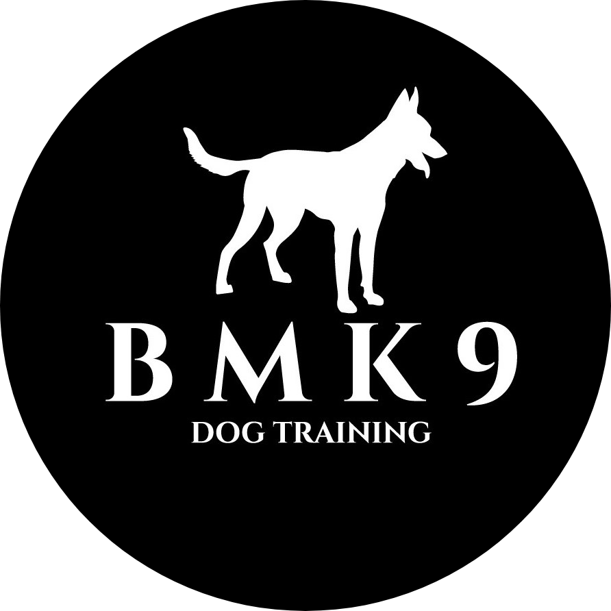 Services | BMK9 Dog Training