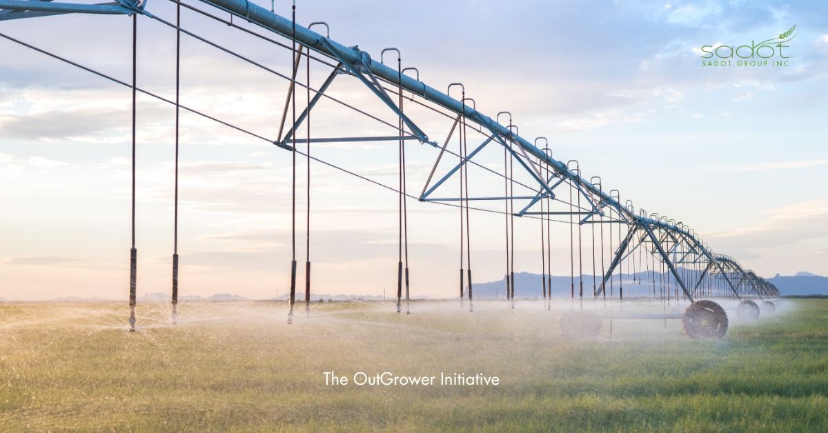 Sadot's "Outgrower" Initiative: Empowering Farmers for Sustainable ...