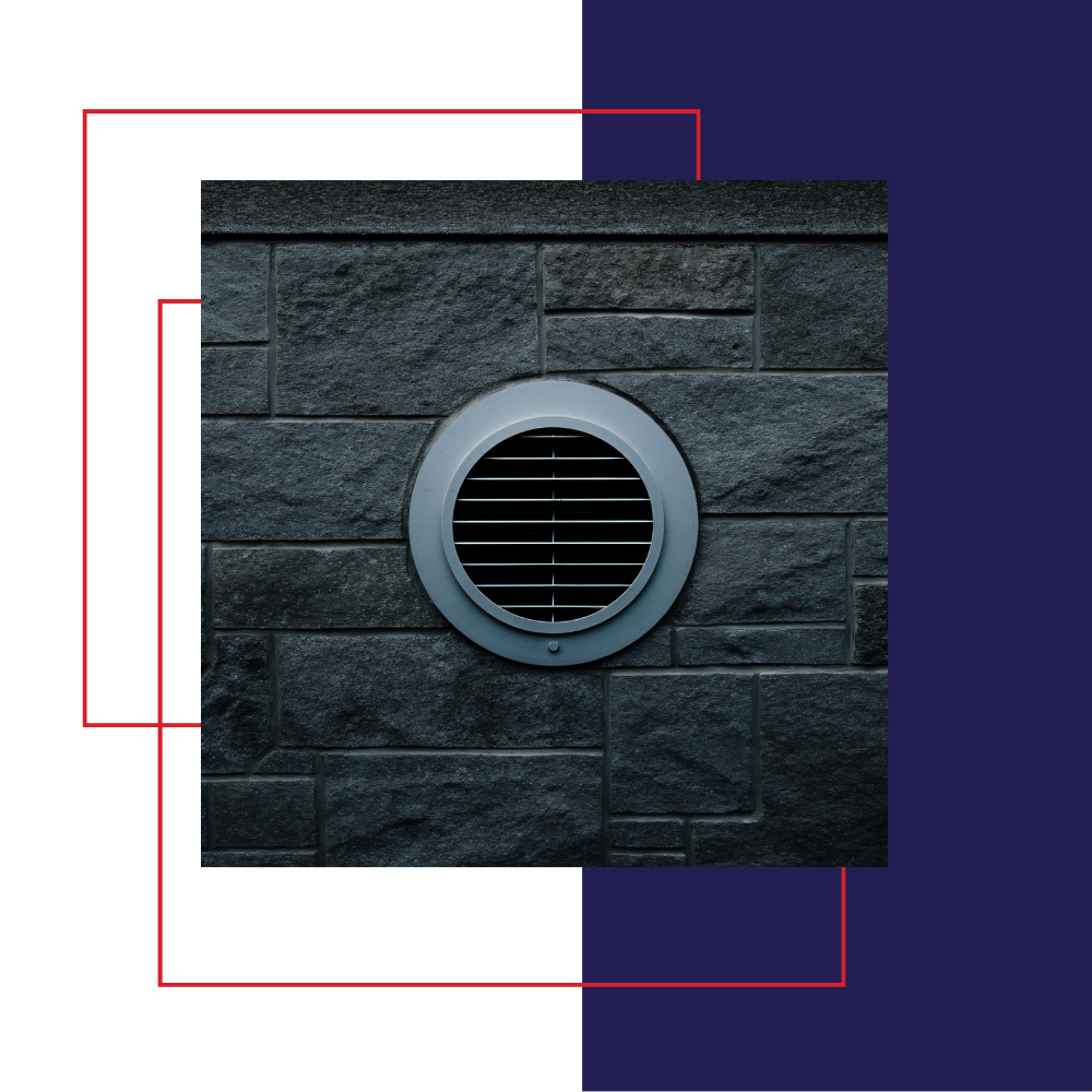 Wildlife Exclusion | Texas Pest | Tarrant County, TX