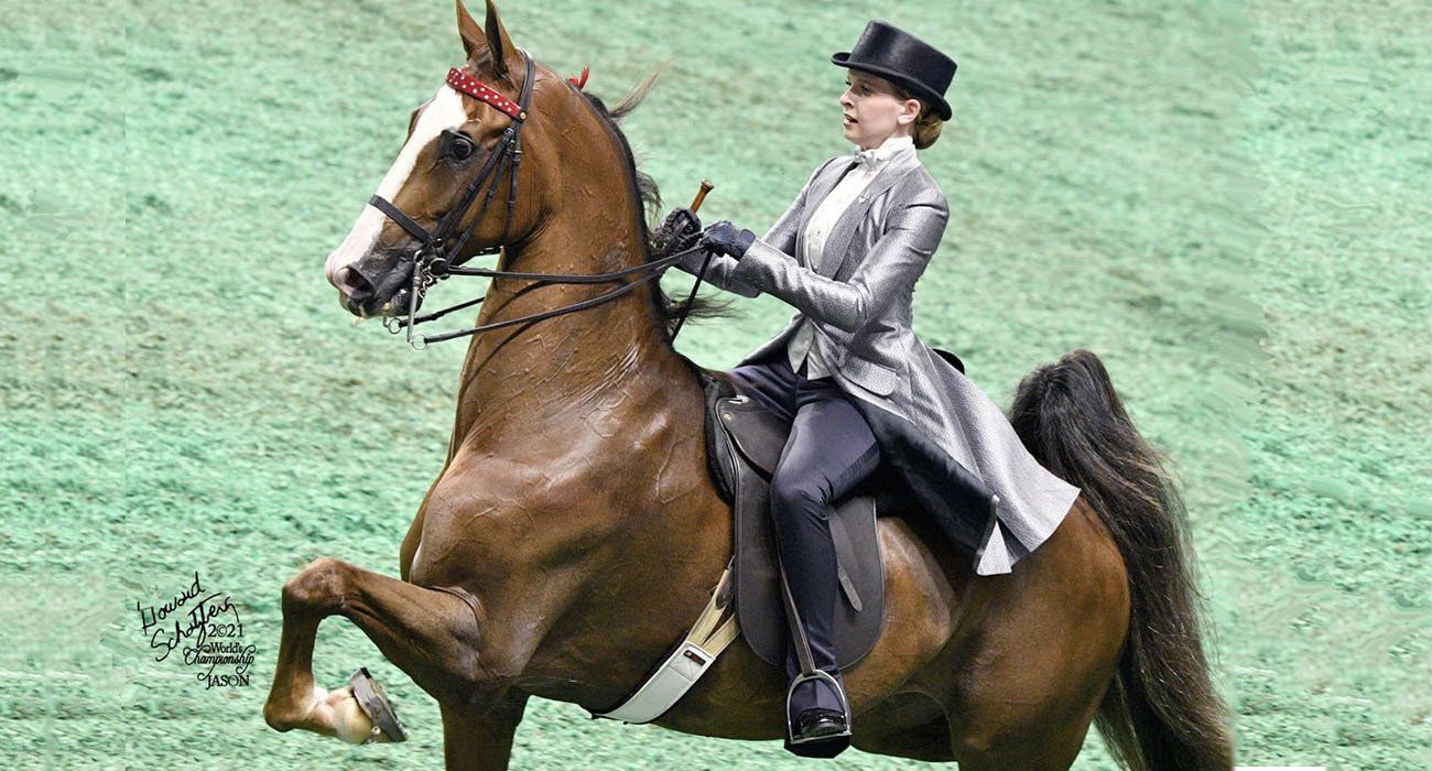 Learn to Ride Horses near Charlotte, NC • Lenux Stables & Riding Academy