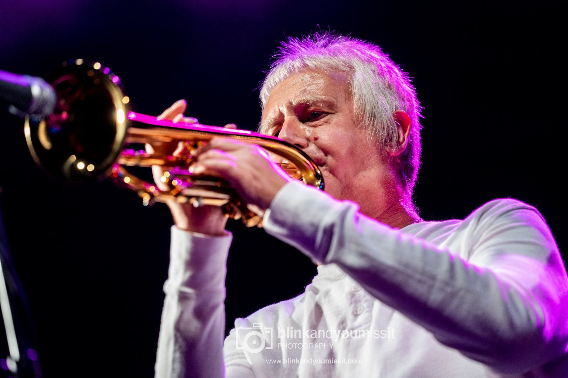 Gallery - Steve Trigg in action.