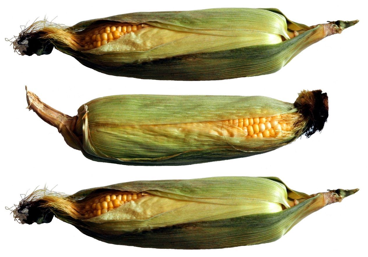 Slate Valley Museum | Granville NY | History & Culture