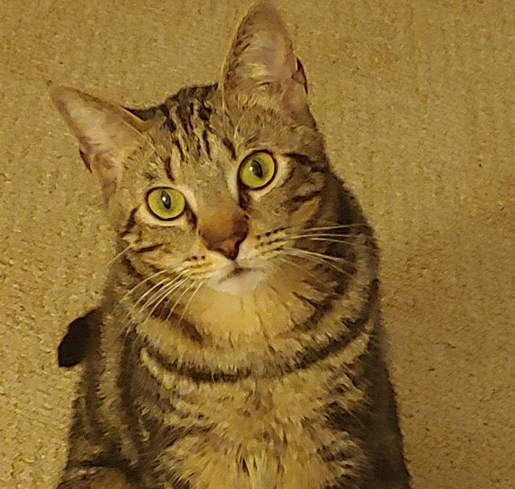 Natural State Printing |Screen Printing| Local Custom T Shirt Printing