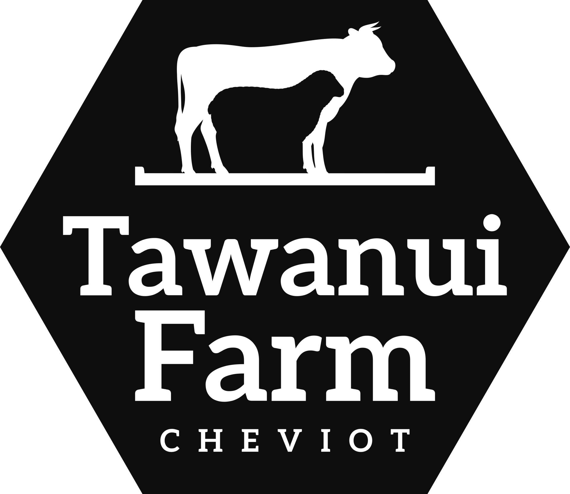 Tawanui Farm Tours, Glamping & Jet Boating Hurunui