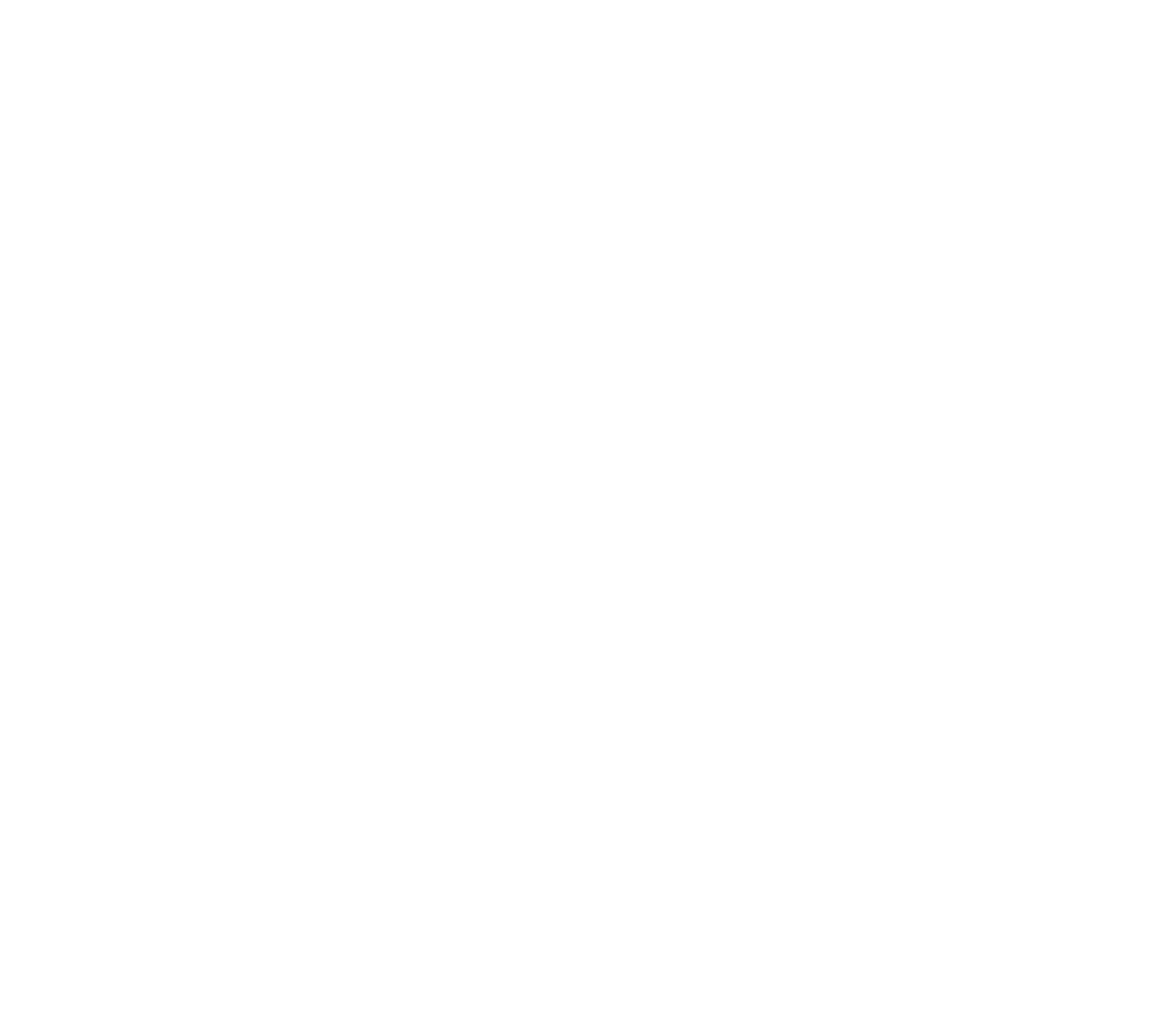Tawanui Farm Tour experience life on our 330 hec farm.
