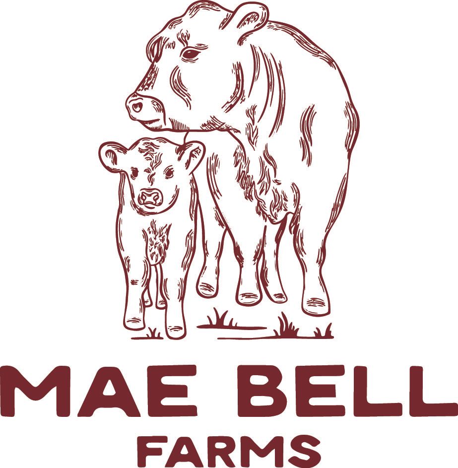 Experiences | Mae Bell Farms