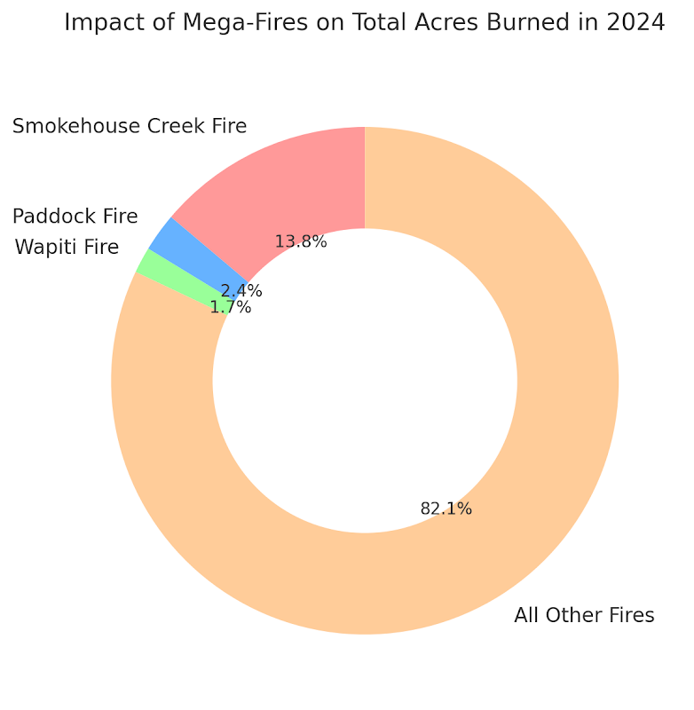 US Wildfire Statistics 2024