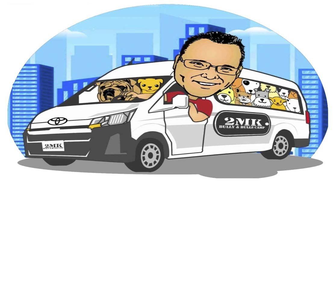 Transporte de Perros | Traslados de Mascotas MK2