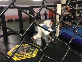 Rete per gabbie MMA - Ravenna - Retinova