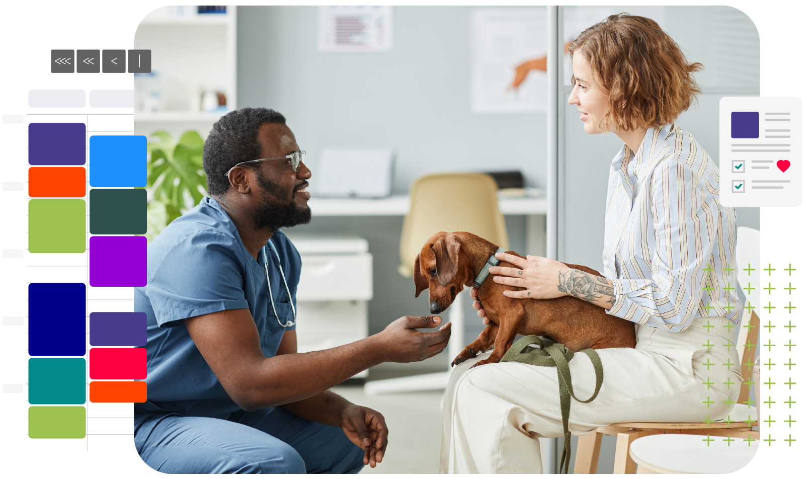 ASSISI - Vet practice management software