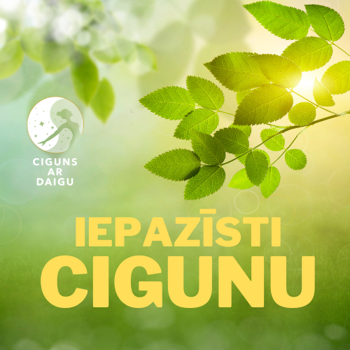 Ciguns Rīgā | ID "Ciguns ar Daigu"