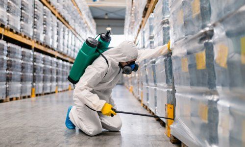 Pest Control in Baltimore, MD | Exterminators You Can Trust