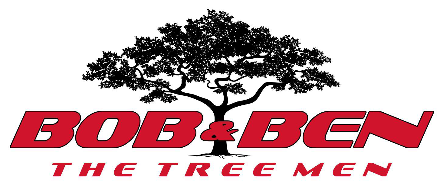 Tree Trimming & Power Line Clearing Heathcote | Bob & Ben