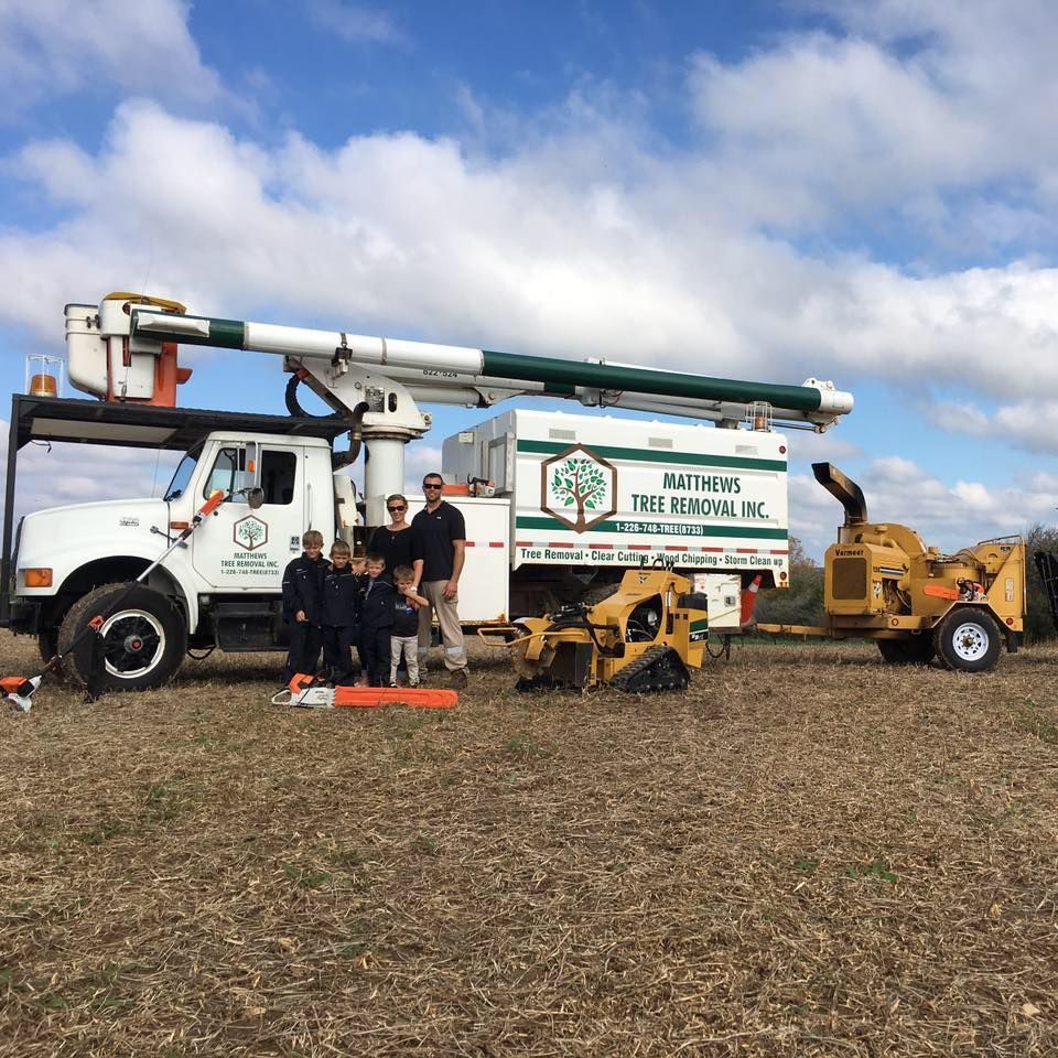 Tree Removal Services | Matthews Tree Removal Inc