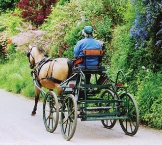 Tedman Tedex Harness