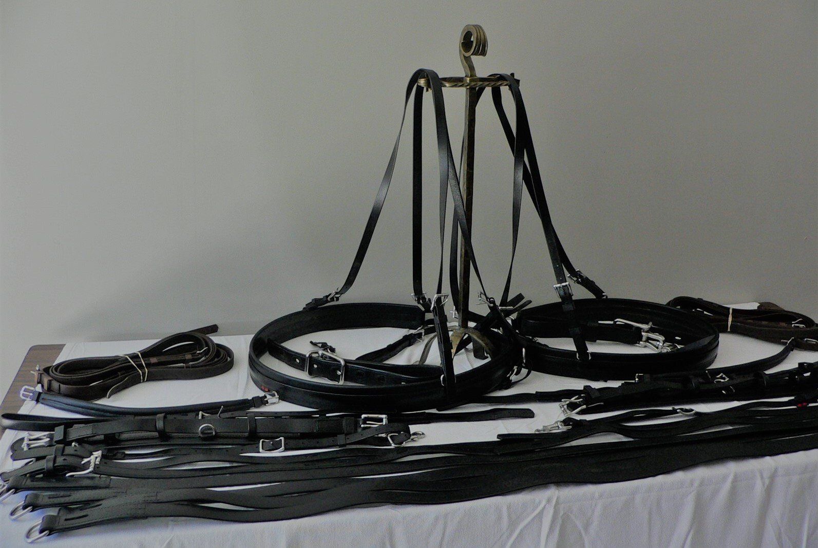 In Stock - Harness Specials