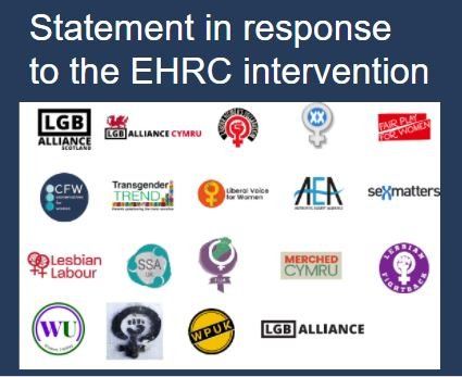 Statement in response to the EHRC intervention