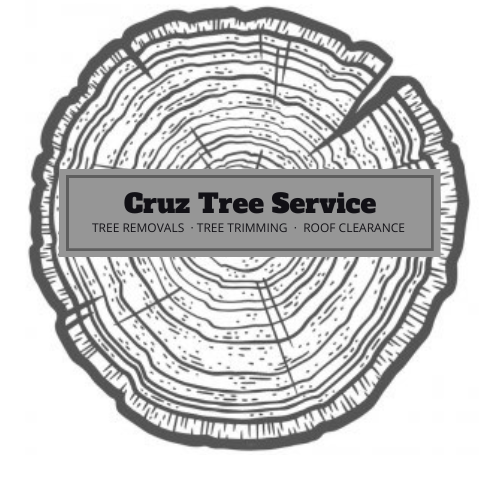 Cruz Tree Service Lago Vista, Cedar Park, Jonestown