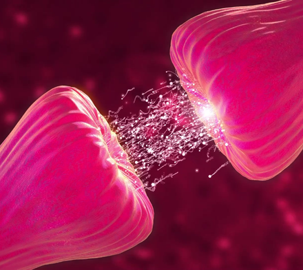 NeuroBio | AI Drug Development Platform | Artificial Neural Networks