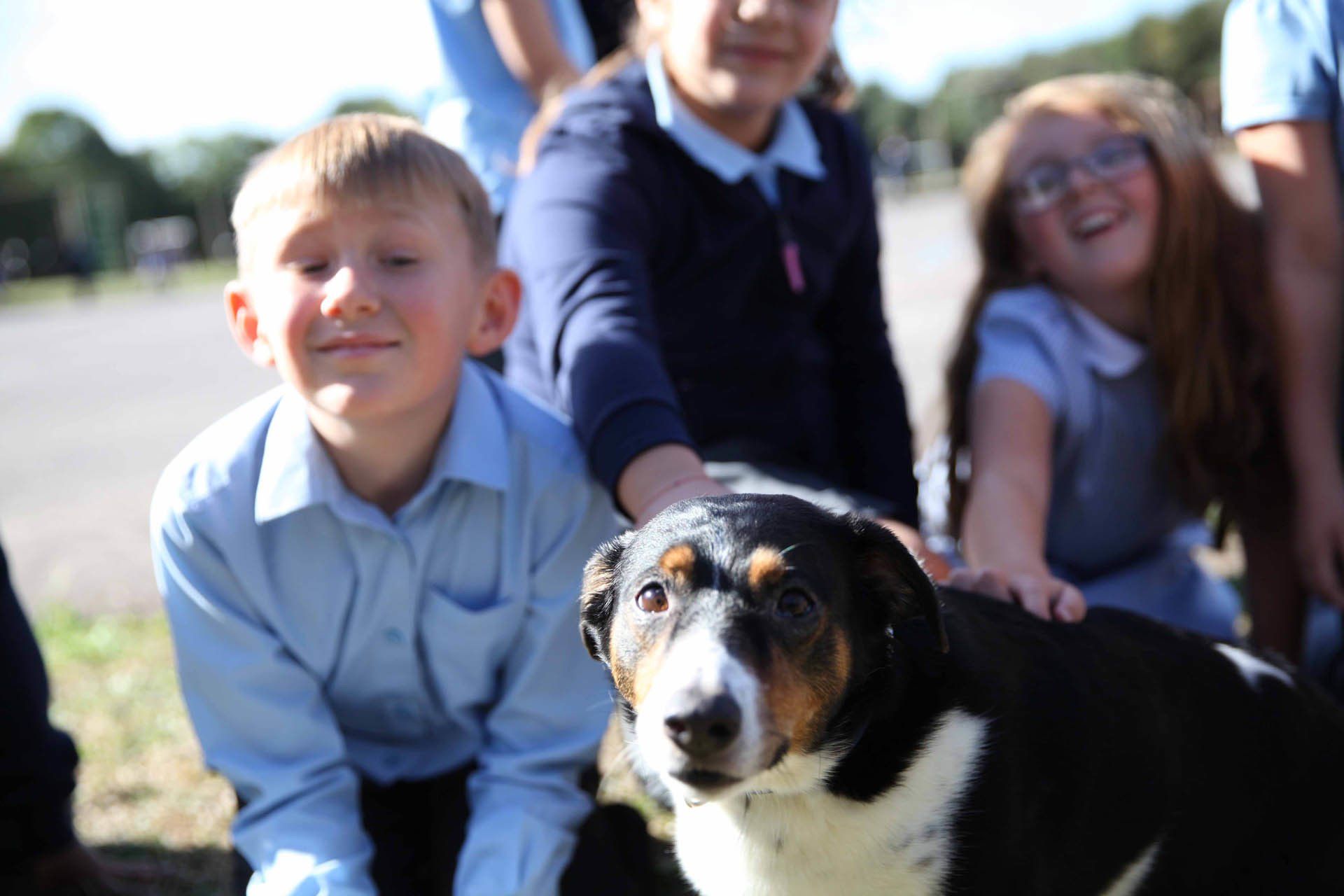 Home [www.hearts-briscoe.uk]