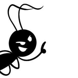 Local Ant Control Services | Keystone Pest Solutions LLC