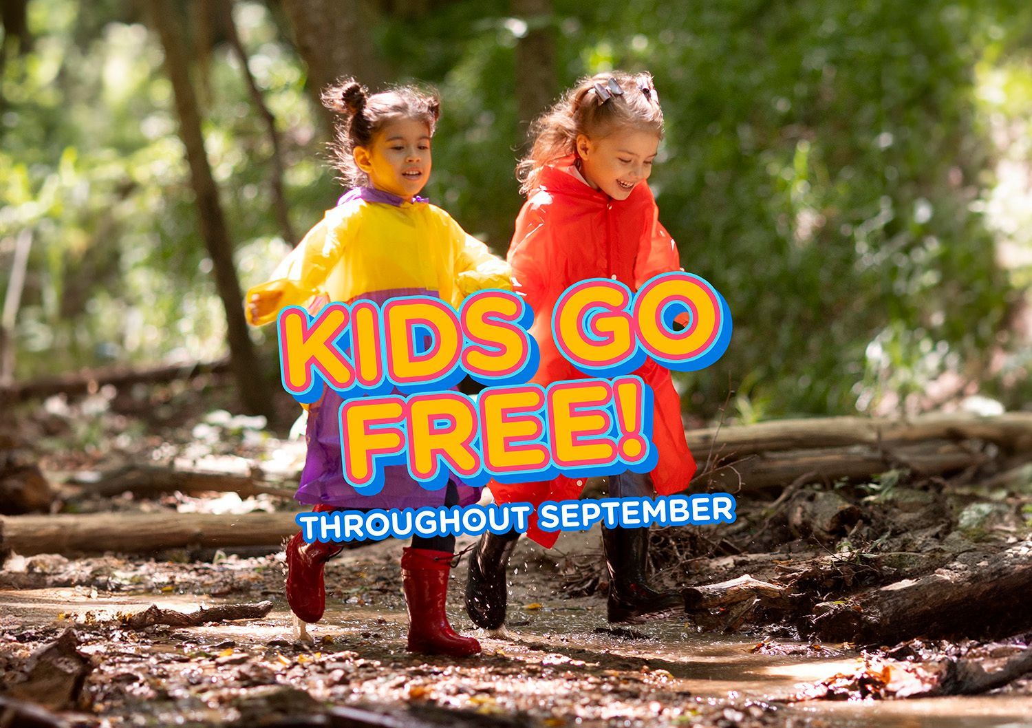 What's On At Auchingarrich | Auchingarrich Wildlife Park Zoo and Adventure