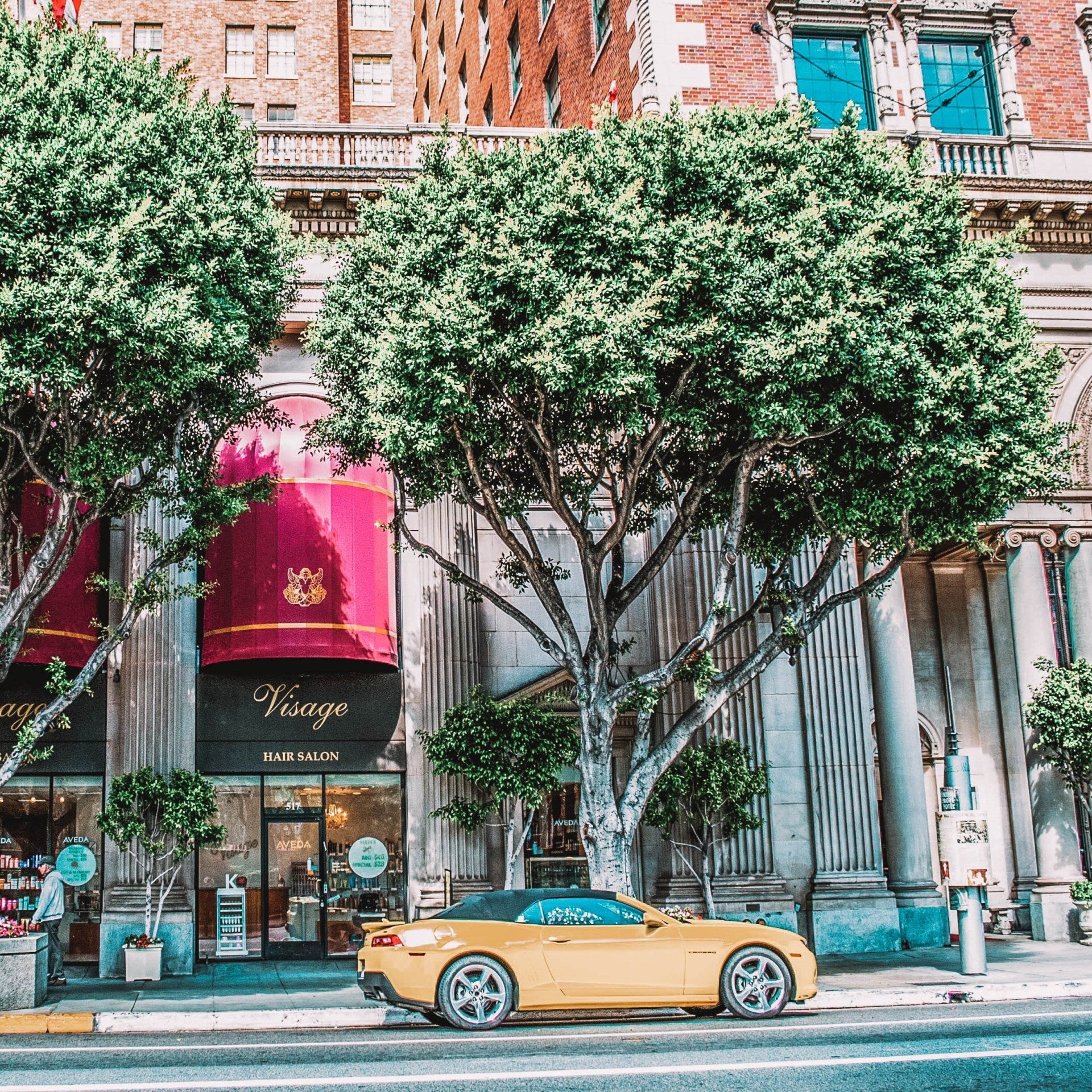 Fun City Tours and Day Trips in New York