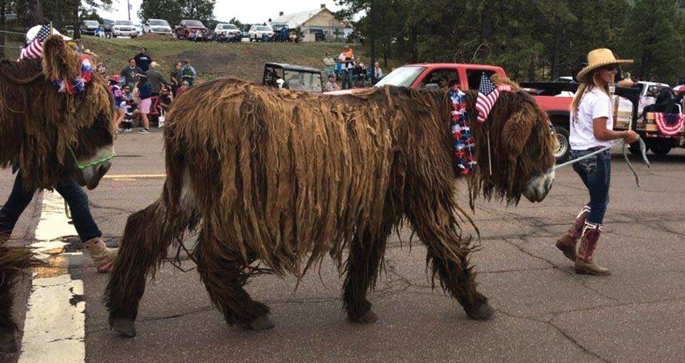 GIANT SHAGGY DONKEYS