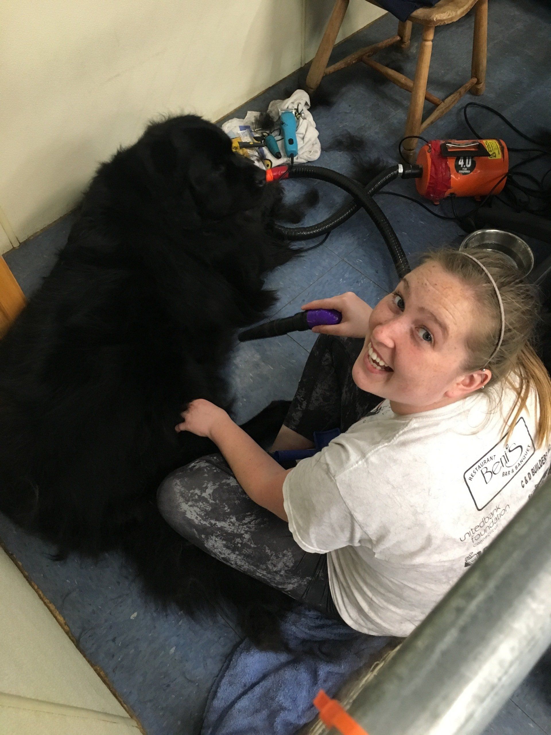 The Mellow Mutt LLC Photo Gallery | Manchester, CT