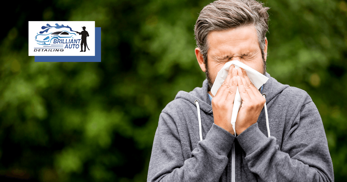 What causes hay fever and how to prevent it