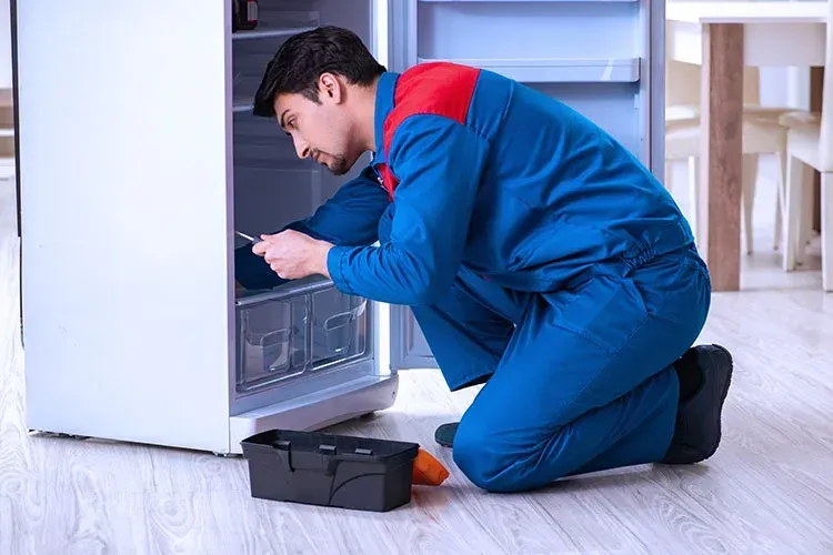 How Often Should You Service Your Refrigerator? A Guide
