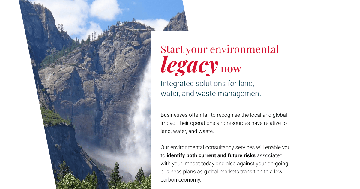 Ecosystem | Cambridge Management Consulting