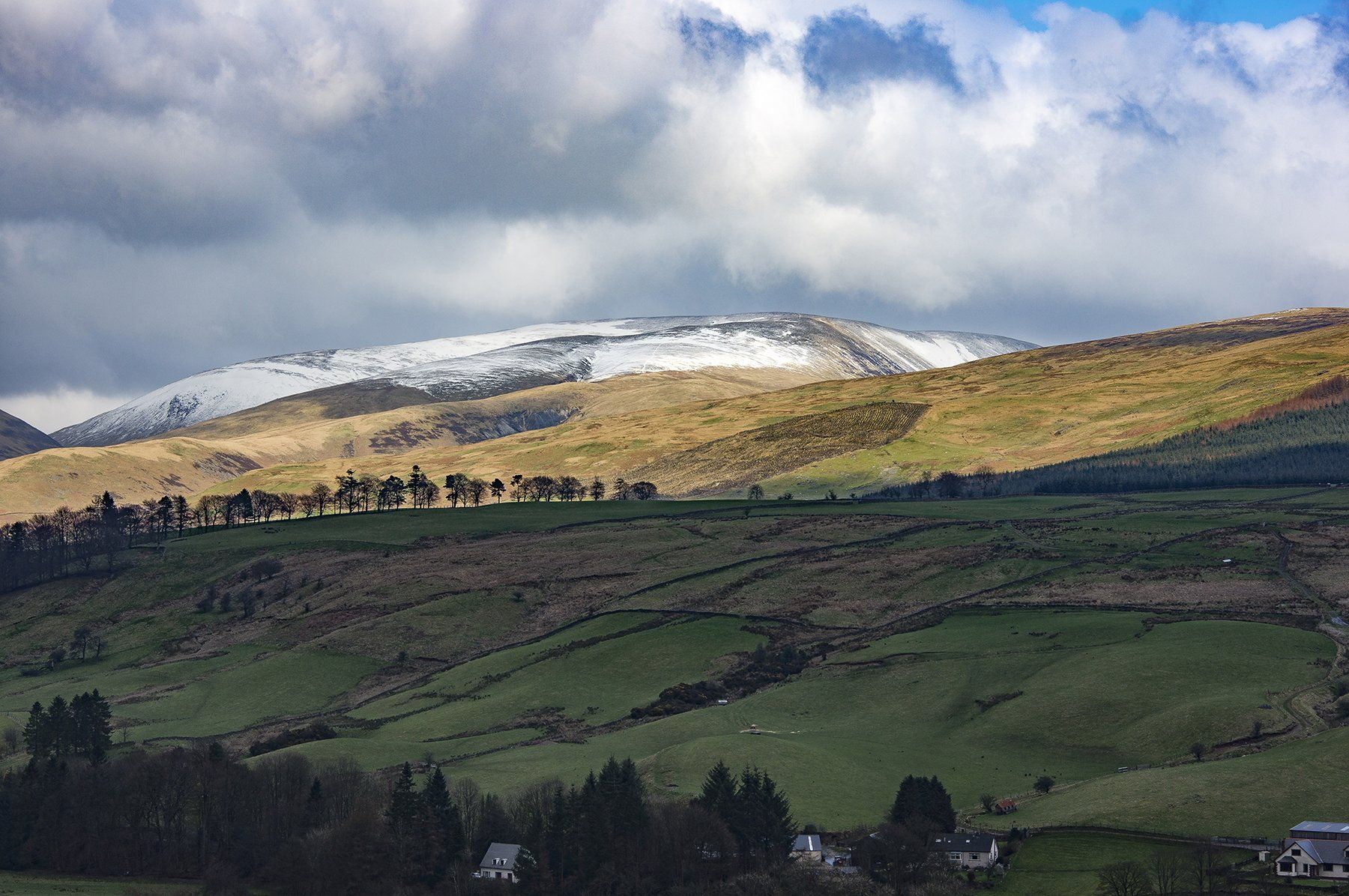 Brattleburn Loop | Walk Moffat