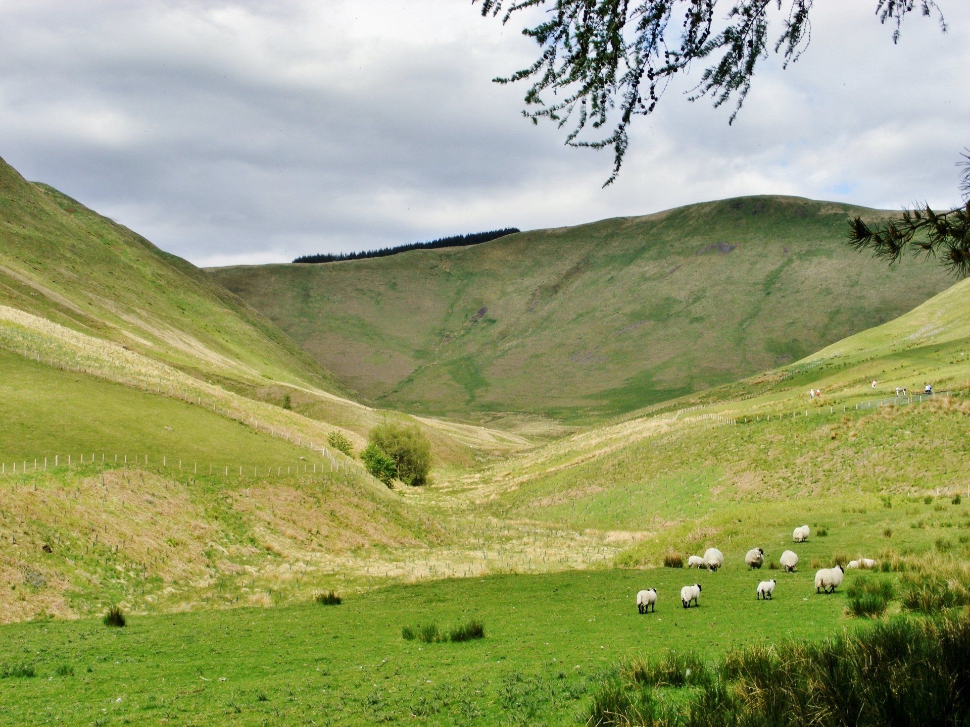 A three-day walking festival for all abilities | Walk Moffat