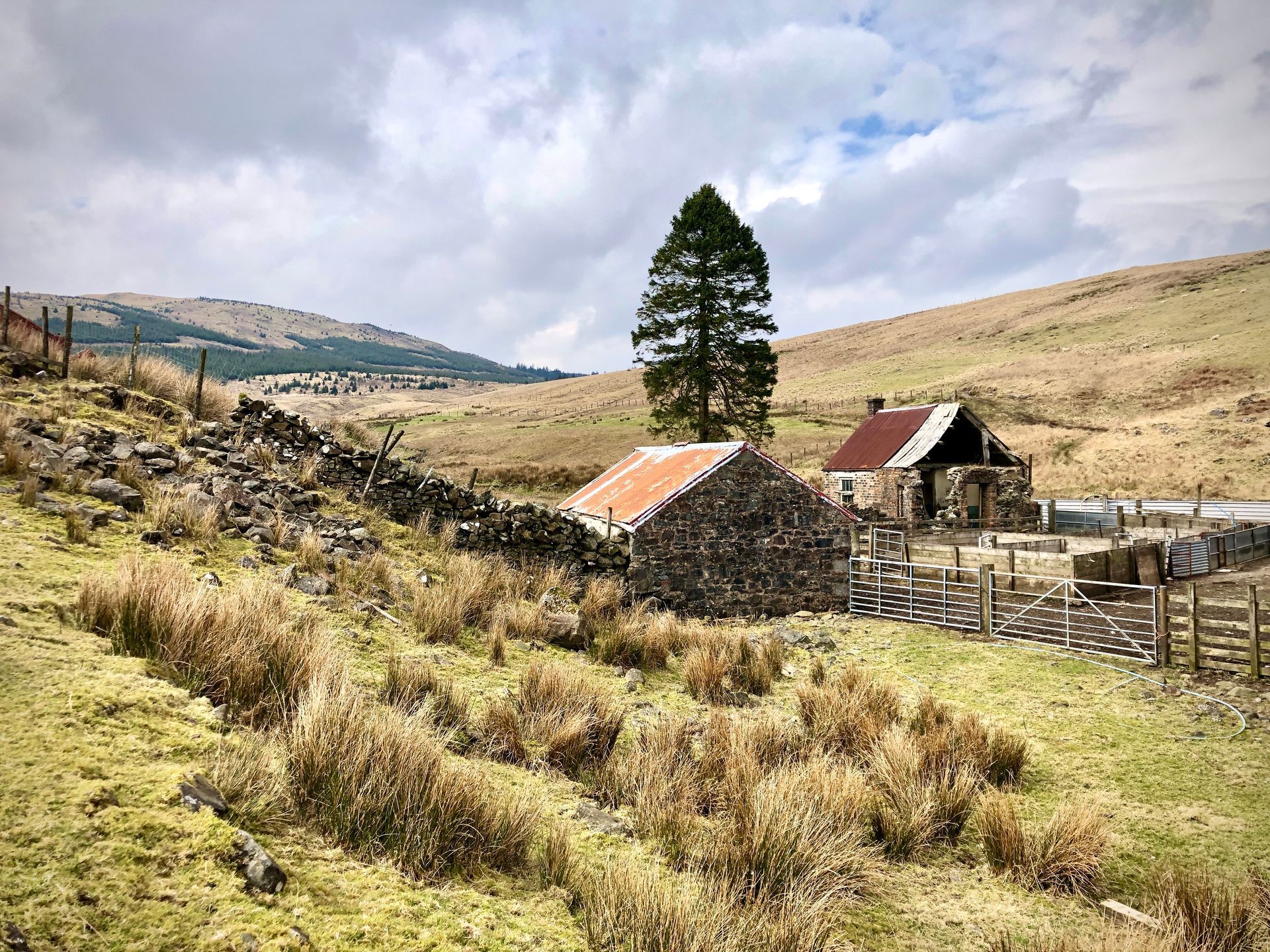 A three-day walking festival for all abilities | Walk Moffat