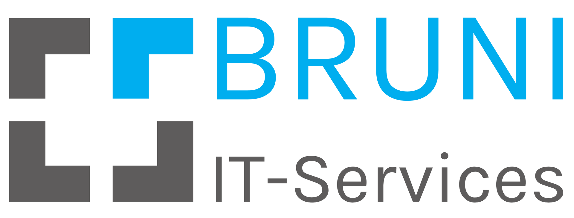 Bruni IT-Services | IT Beratung & Datensicherheit