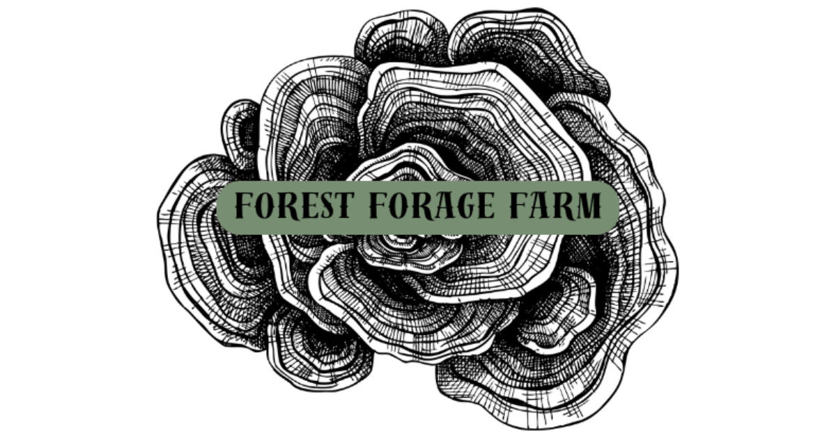 Tree Service Banner Elk NC | Family Farm