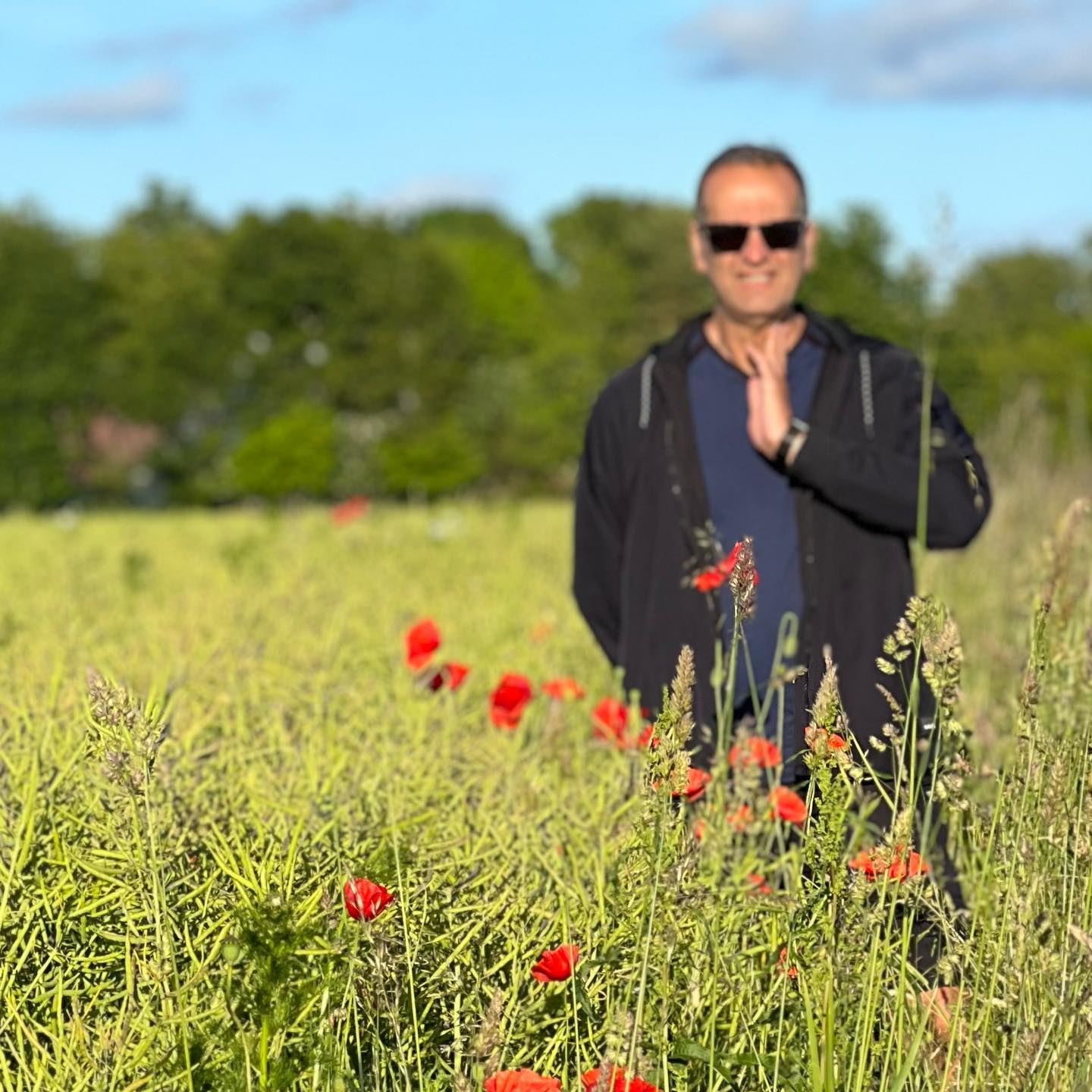 Home [www.parvini.com]