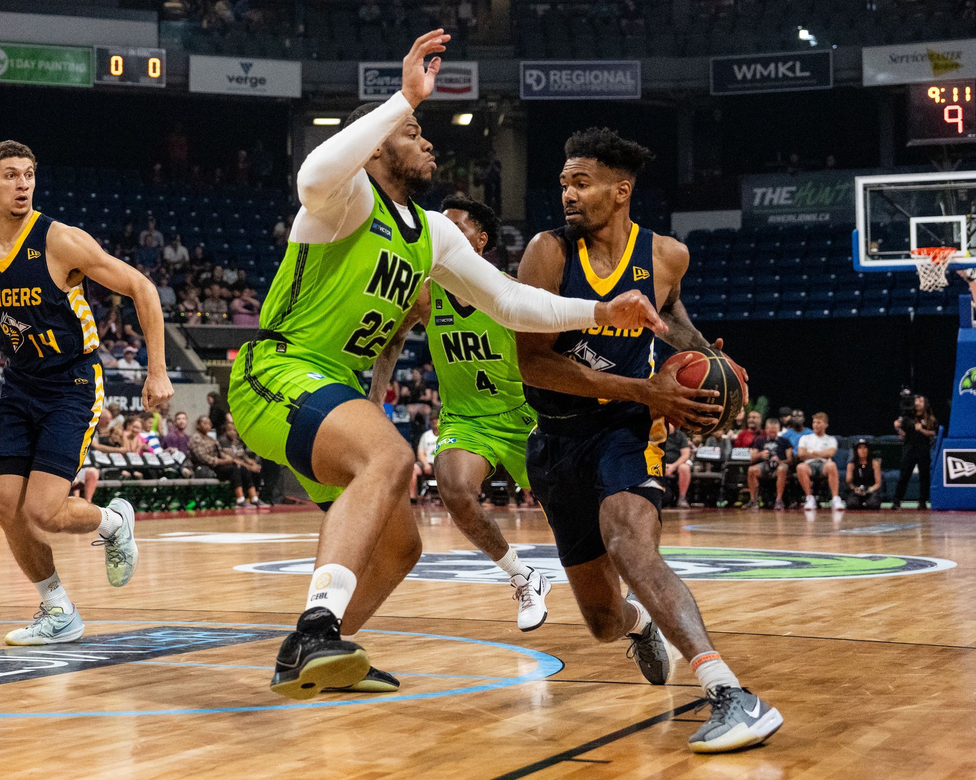 Edmonton Stingers - Canadian Professional Basketball Team
