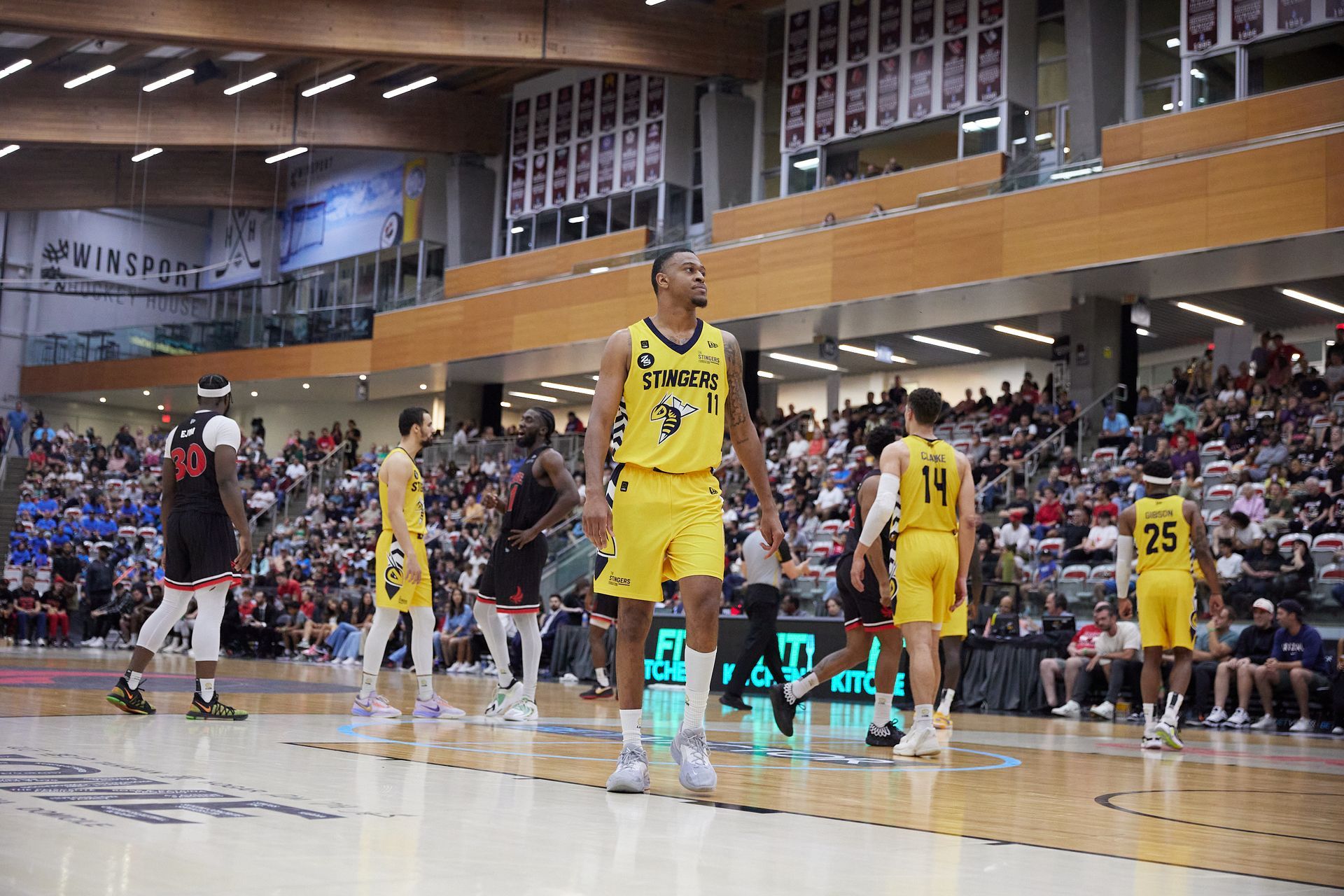 Edmonton Stingers - Canadian Professional Basketball Team