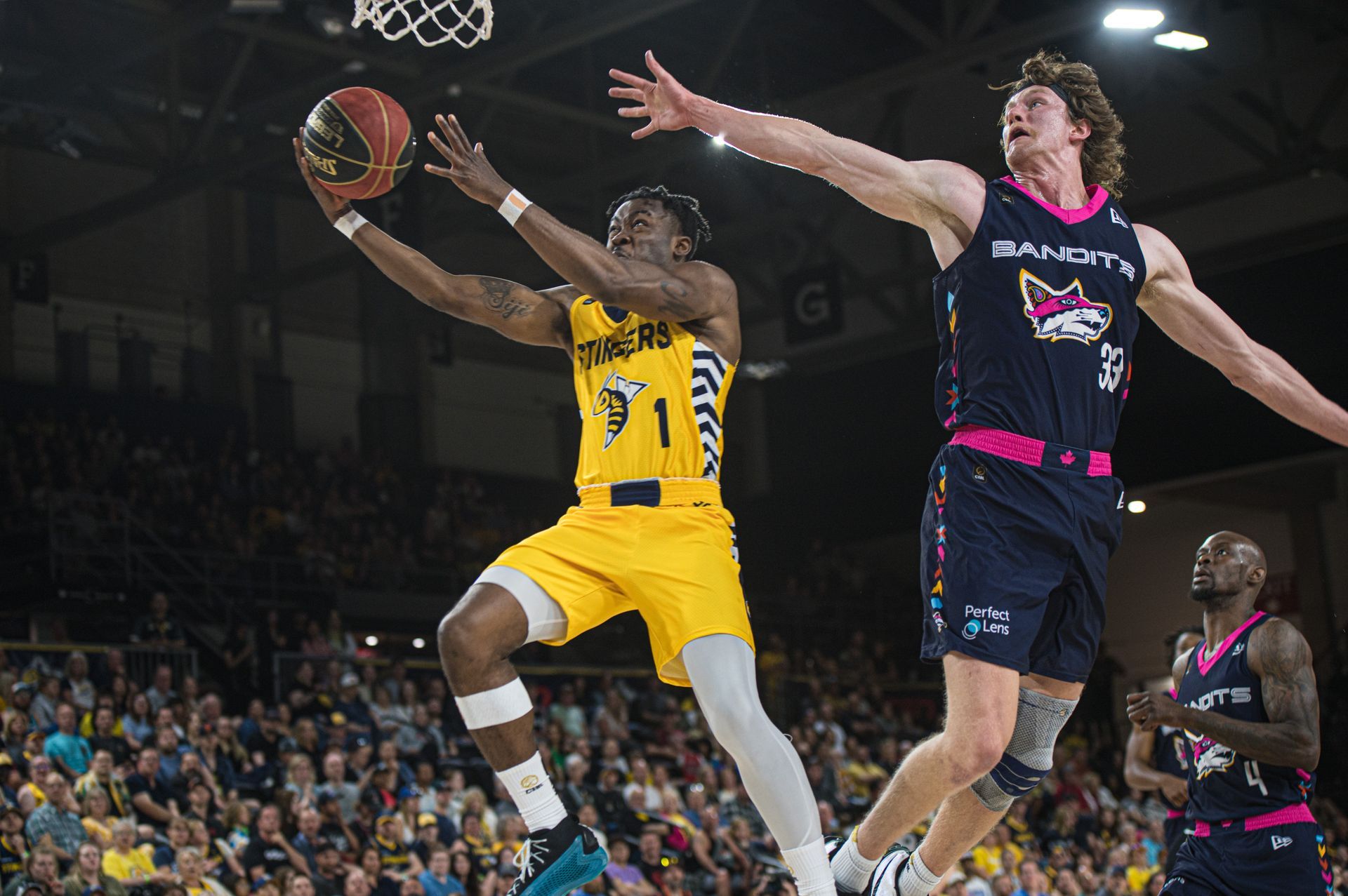 Edmonton Stingers - Canadian Professional Basketball Team