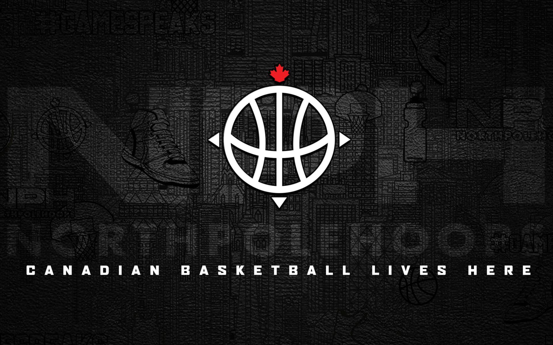 Edmonton Stingers - Canadian Professional Basketball Team
