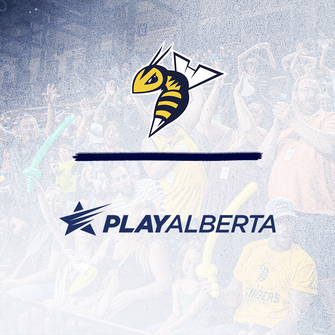 Play Alberta Announced as Stingers Season Presenting Partner