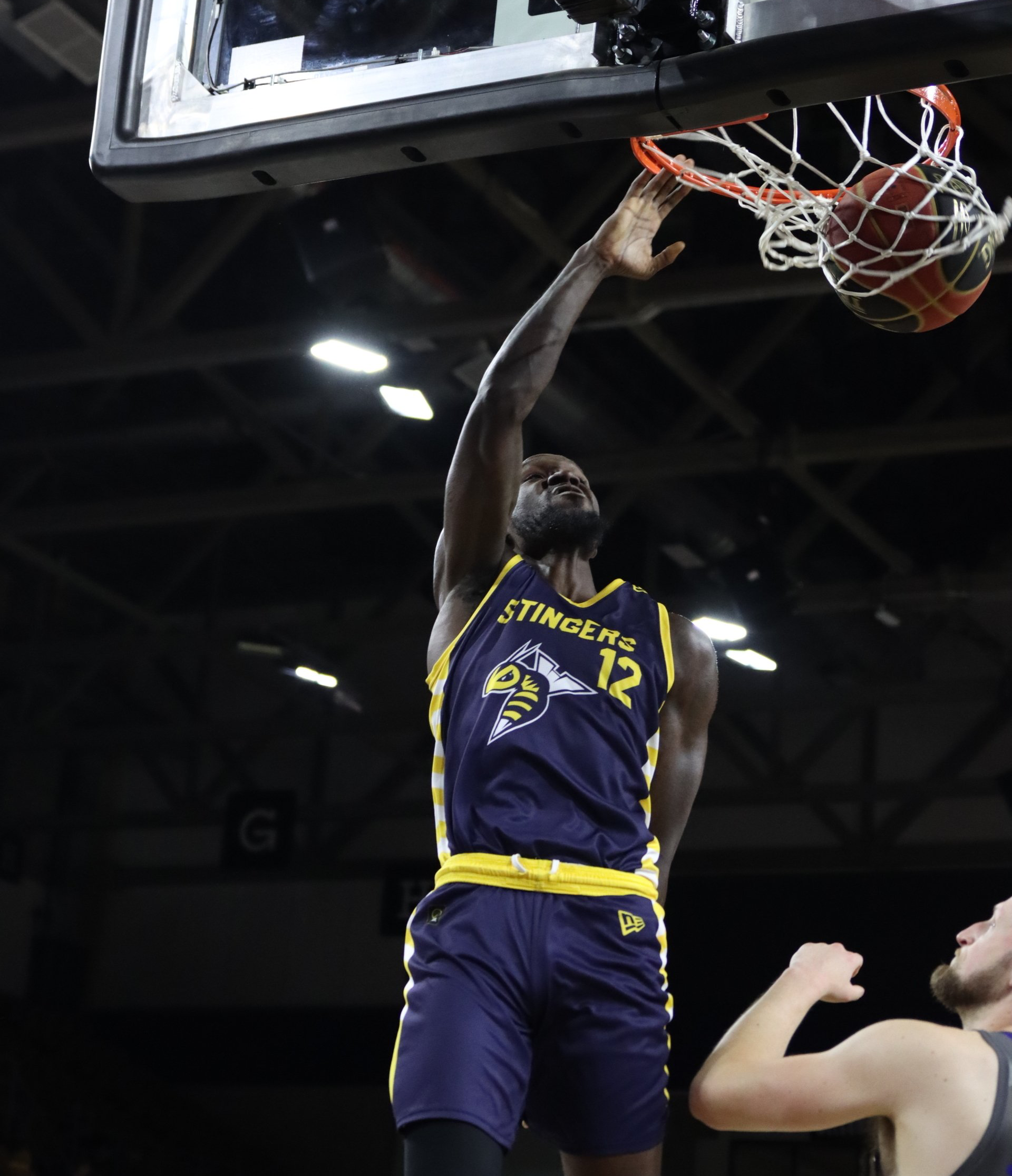 Edmonton Stingers - Canadian Professional Basketball Team