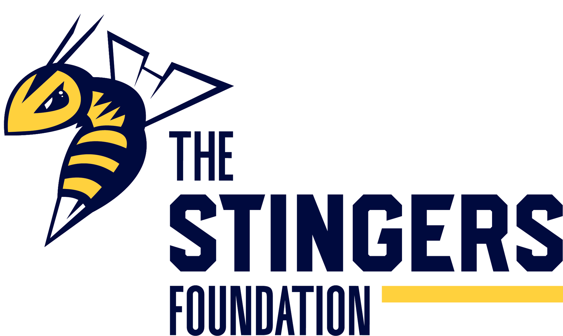 Edmonton Stingers Establish Charitable Foundation